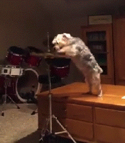 WFMU RADIO: Give The Drummer Some 08/30/19
